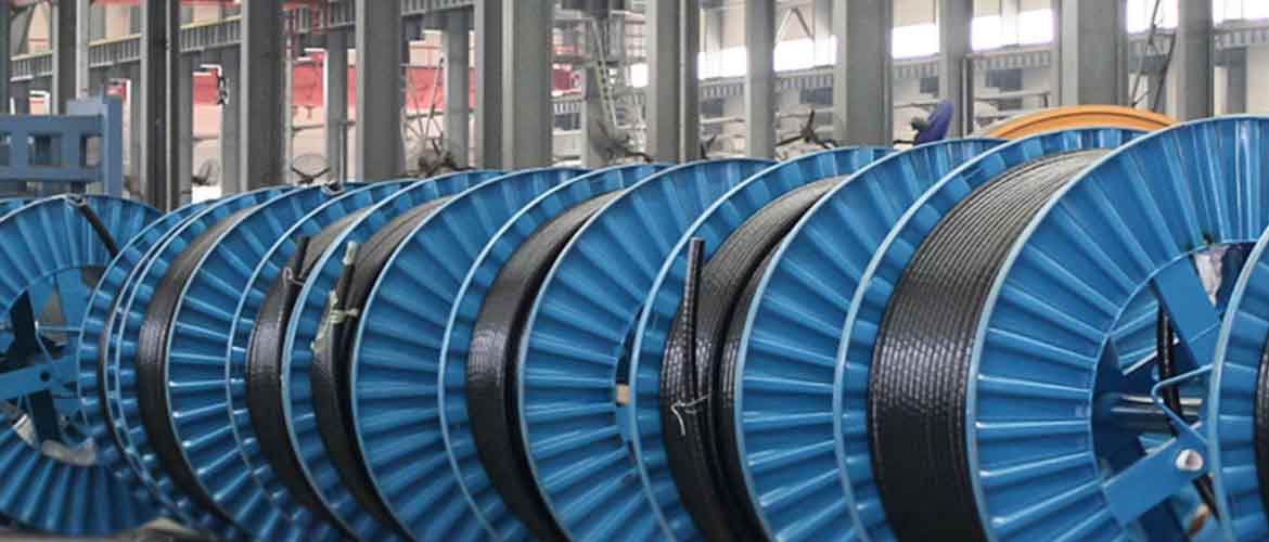 ZMS Factory Produces Various International Standard Cables