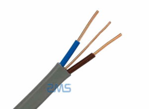 To Know About BS6004 Cable: Structure and Function Explained