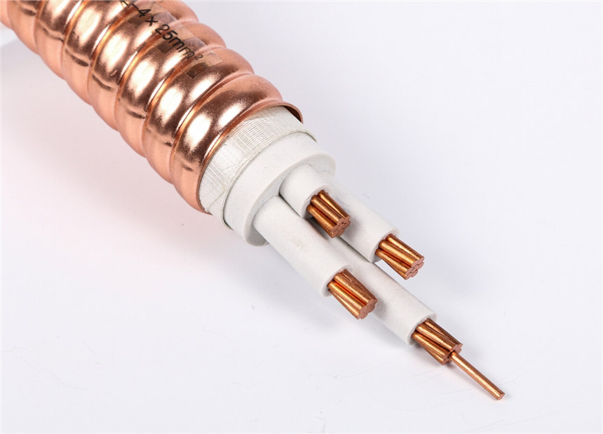 Avantages et applications du cable rigide - % ZMS kV Cable.