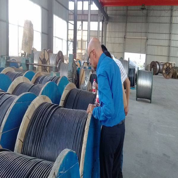 Electric Cable Manufacturer│XLPE PVC Insulated Wire Fiber Optic Cable