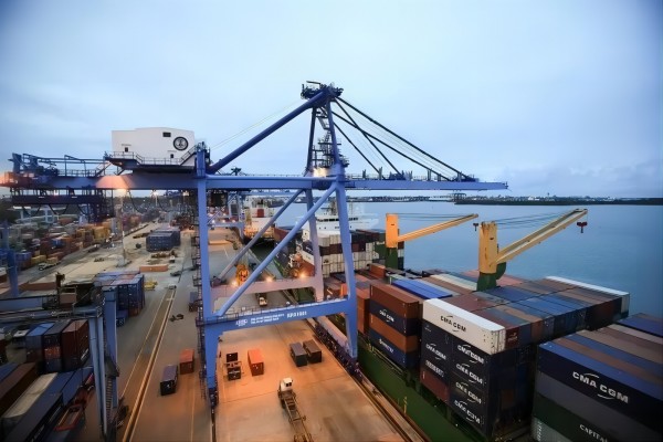 Specializing Production of a variety of YJV Cable XLPE PVC