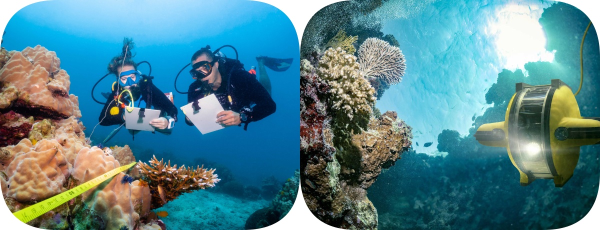 Deep Sea Cable Solutions Global Leader In Engineered Project